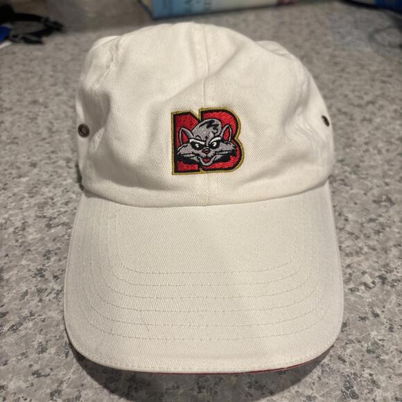 Accessories | Vintage New Britain Rock Cats Blood Donor Hat American ...
